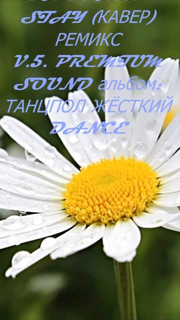 Bad Boys Blue — Come Back and Stay (DOStudio Shorts) | Диско 80-х | V.5 Premium Sound