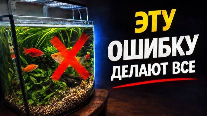 Не делай ТАК! Досыпаем грунт в запущенный аквариум.
