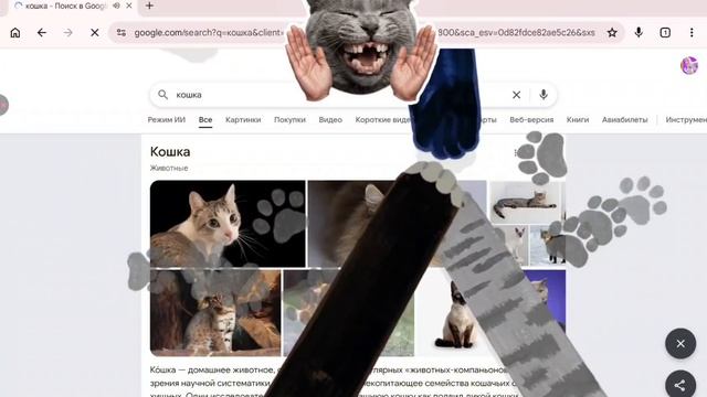 #Врекплиз фишки google🤤