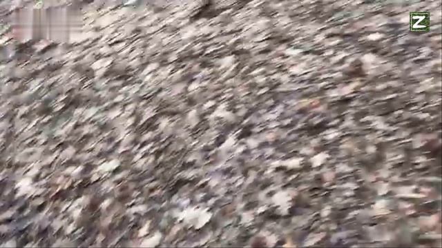 В Тылу врага медики ВСУ