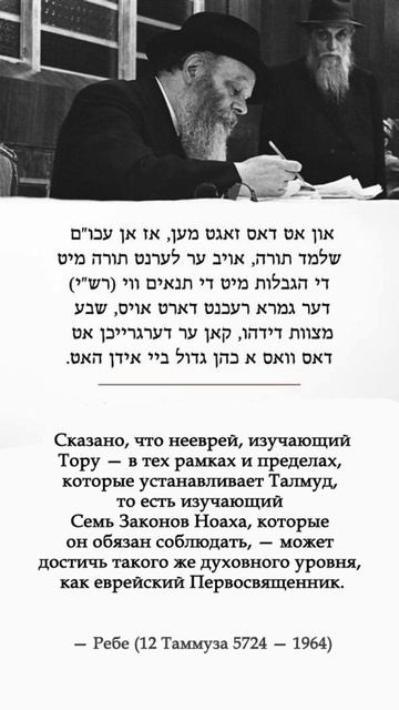 Нееврей, изучающий Тору в рамках Семи Законов Ноаха подобен Первосвященнику.