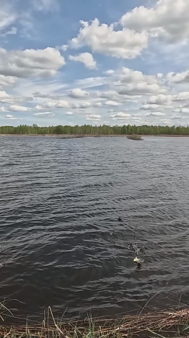 Сели поесть и началось