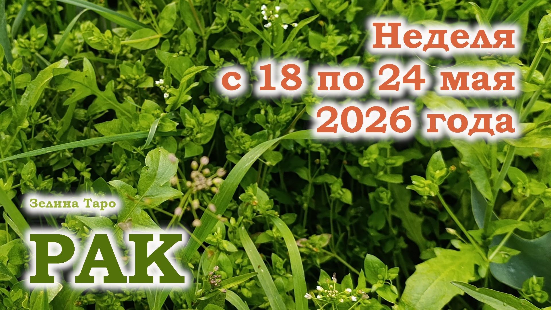 РАК | ТАРО прогноз на неделю с 18 по 24 мая 2026 года