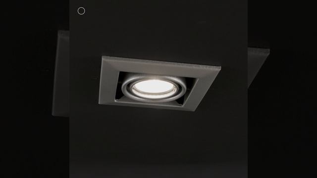 Светильник Maytoni Metal Modern DL008-2-01-S