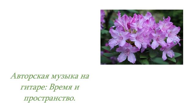Авторская музыка на гитаре : Время и пространство.
