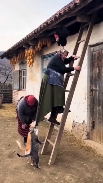 Дачные истории. Воры. Стихи Раисы Йилдырим