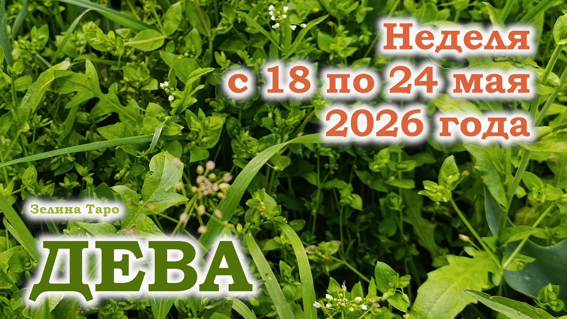 ДЕВА | ТАРО прогноз на неделю с 18 по 24 мая 2026 года