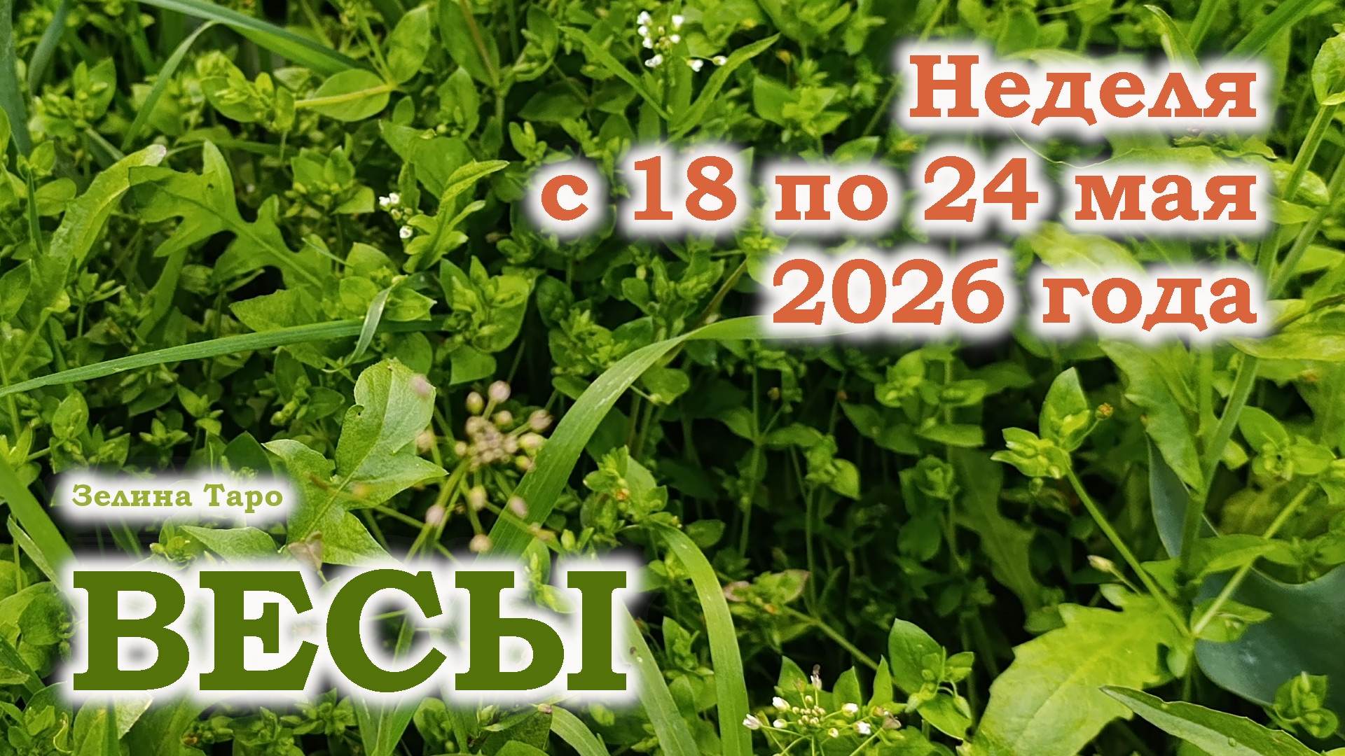 ВЕСЫ | ТАРО прогноз на неделю с 18 по 24 мая 2026 года