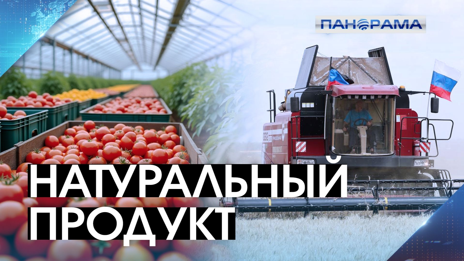 Новая аграрная карта ДНР: качество и вкус на первом месте! 15.05.2026 "Панорама"