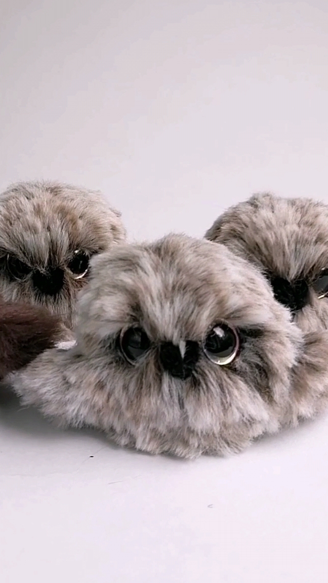 Меховые комочки-совята 🦉🦉🦉