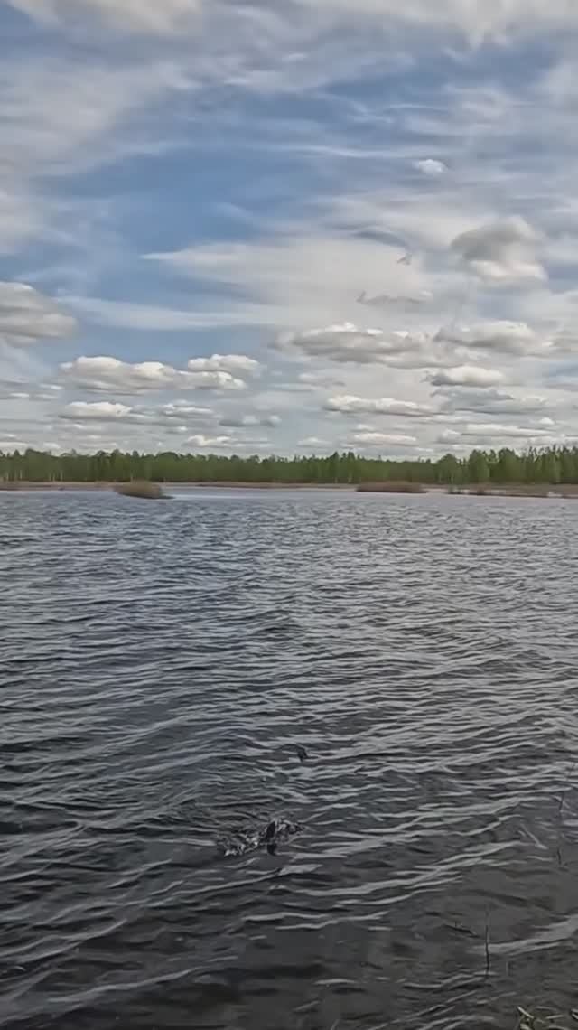 Укрупняемся потихонечку