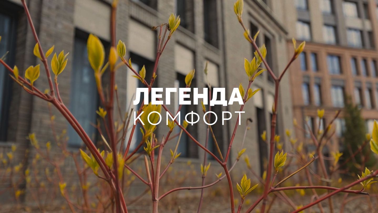 Весна во дворах LEGENDA: как ухаживают за живой средой после заселения