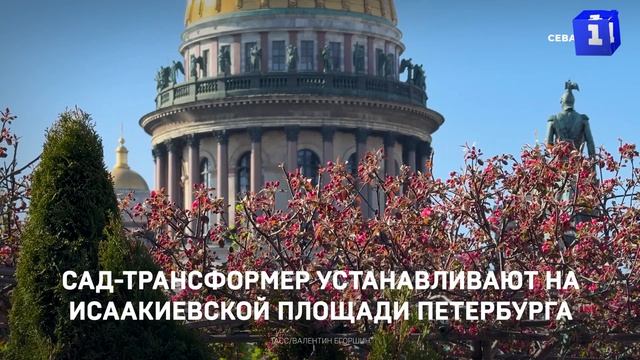 Сад-трансформер устанавливают на Исаакиевской площади Петербурга