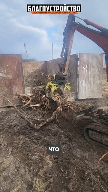 Наглядный объём пней после выкорчевки