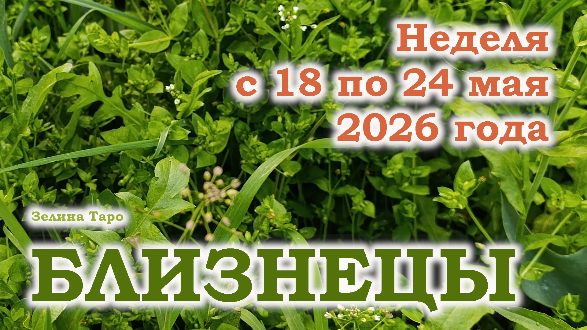 БЛИЗНЕЦЫ | ТАРО прогноз на неделю с 18 по 24 мая 2026 года