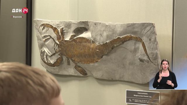 Содружество Донбасс 15.05.2026