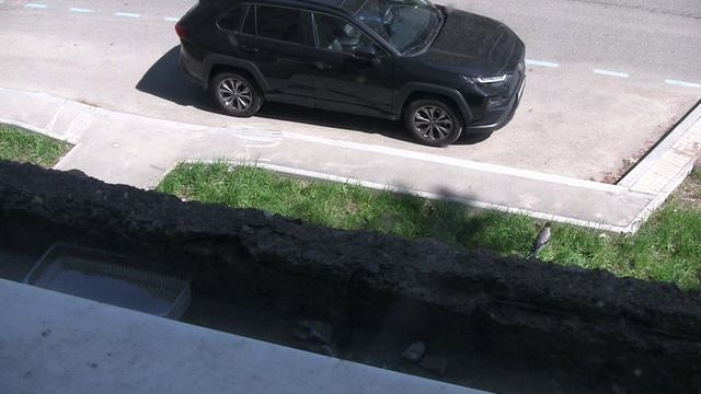 №2145 Динозавры 11 мая 2026 г., 22:40:56 Ворона 2026 05 11