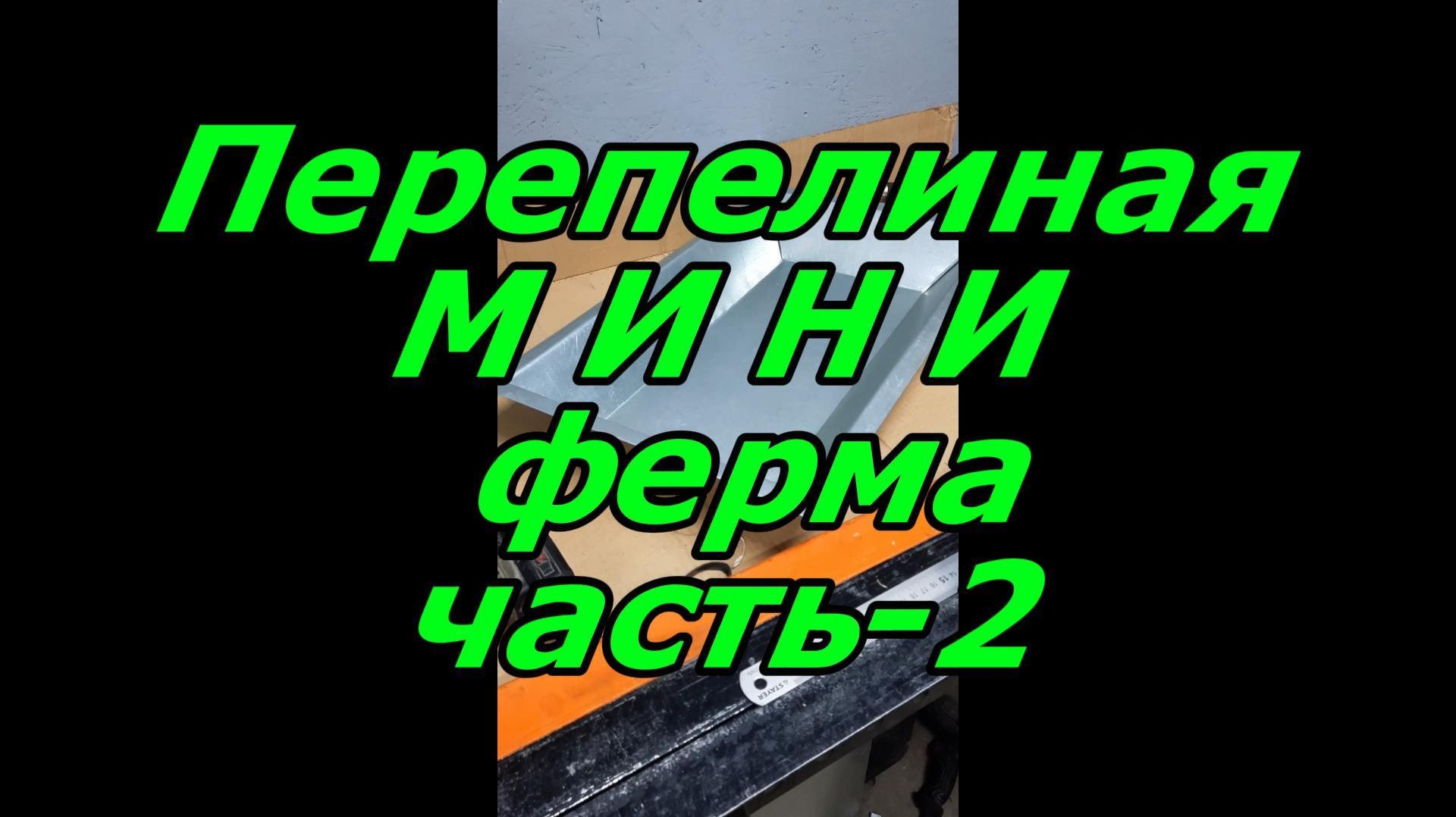 Перепелиная Мини ферма часть-2
