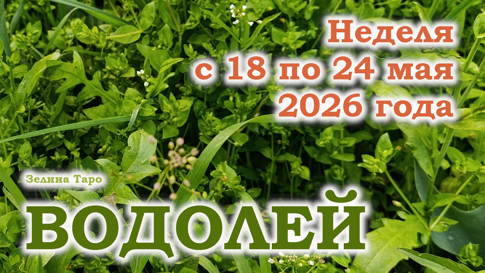ВОДОЛЕЙ | ТАРО прогноз на неделю с 18 по 24 мая 2026 года
