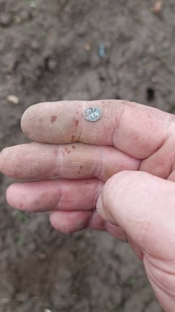 Проклятые вши #shorts #стариннаямонета #нашлисеребро  #metaldetecting #металлоискатель