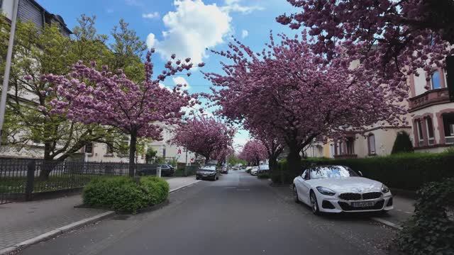 🇩🇪 Фридберг, Германия - Средневековый немецкий город / 2026 / 4K / 2160p