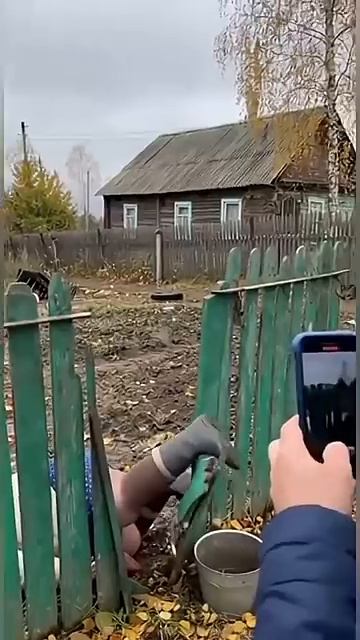 Бабка решила сократить .