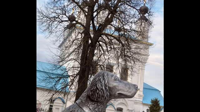 Белый Бим вернулся... /авт. песня/