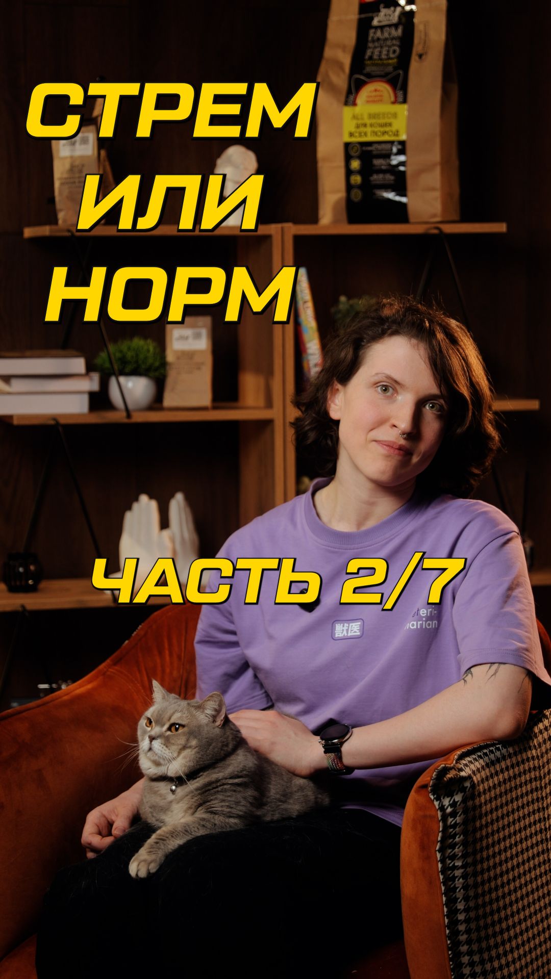 "Стрем или норм" про сухой корм. Часть 2
