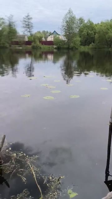 На рыбалке видео прислал мой друг Дима из Тамбова
