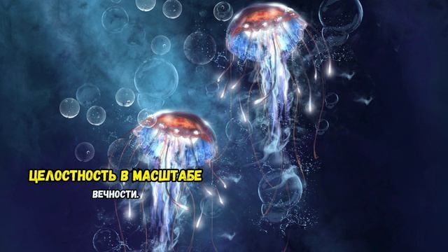 Целостность в масштабе вечности.