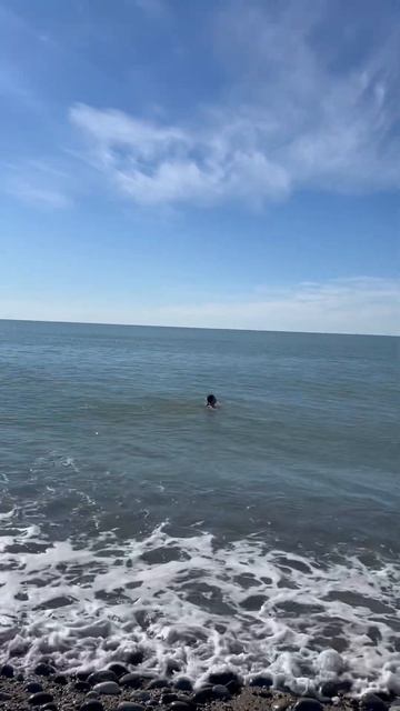 Февральское купание в море