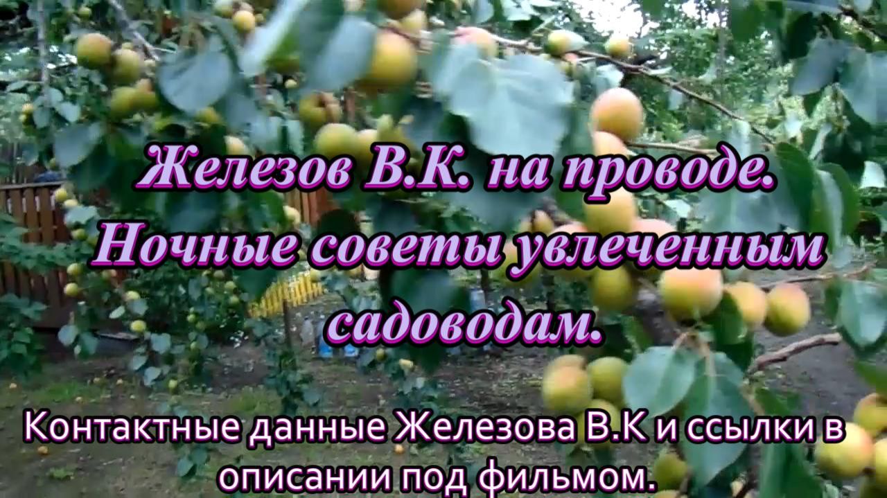 Железов В.К. на проводе. Ночные советы увлеченным садоводам.
