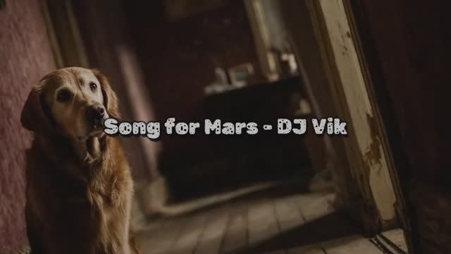 Song for Mars - DJ Vik