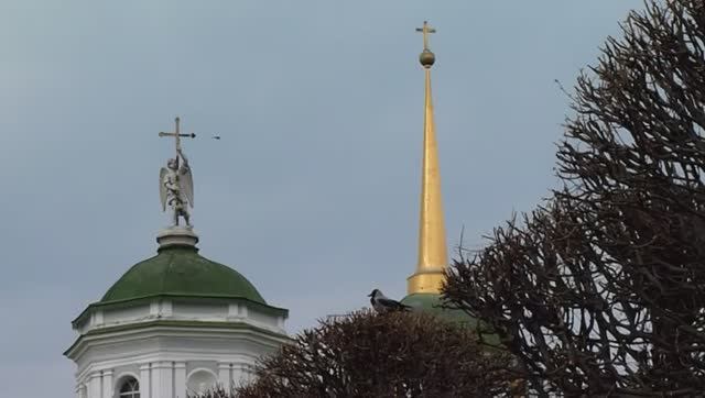 Кусково. Москва