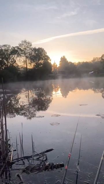 Дмитрий из Тамбова! 🌇 Рад видеть вас сегодня на рыбалке! 🎣 С добрым утром! 🌞