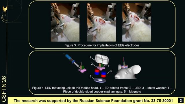 Photo-therapy of Alzheimer’s disease during sleep under EEG control