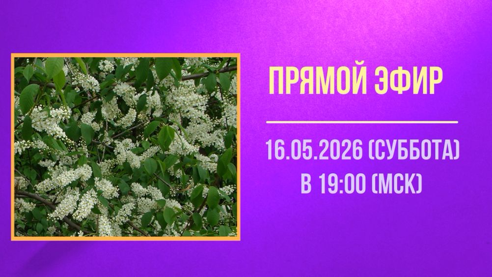 Анонс эфира 16.05.2026