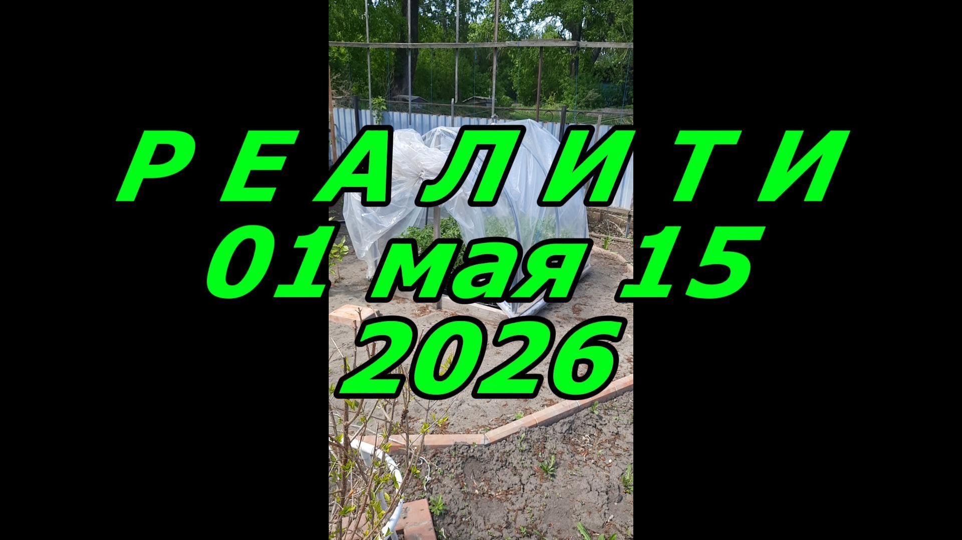 Реалити 01-15_5_2026