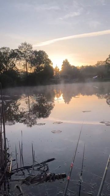 Дмитрий из Тамбова! 🌇 Рад видеть вас сегодня на рыбалке! 🎣 С добрым утром! 🌞