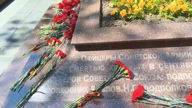 Гимн ветеранам войны и труда. Новороссийск, Вечный огонь