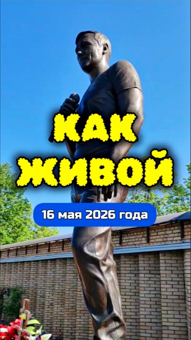 Мгновения тишины: утренний взгляд на памятник Юрию Шатунову #shorts #шатунов #белыерозы