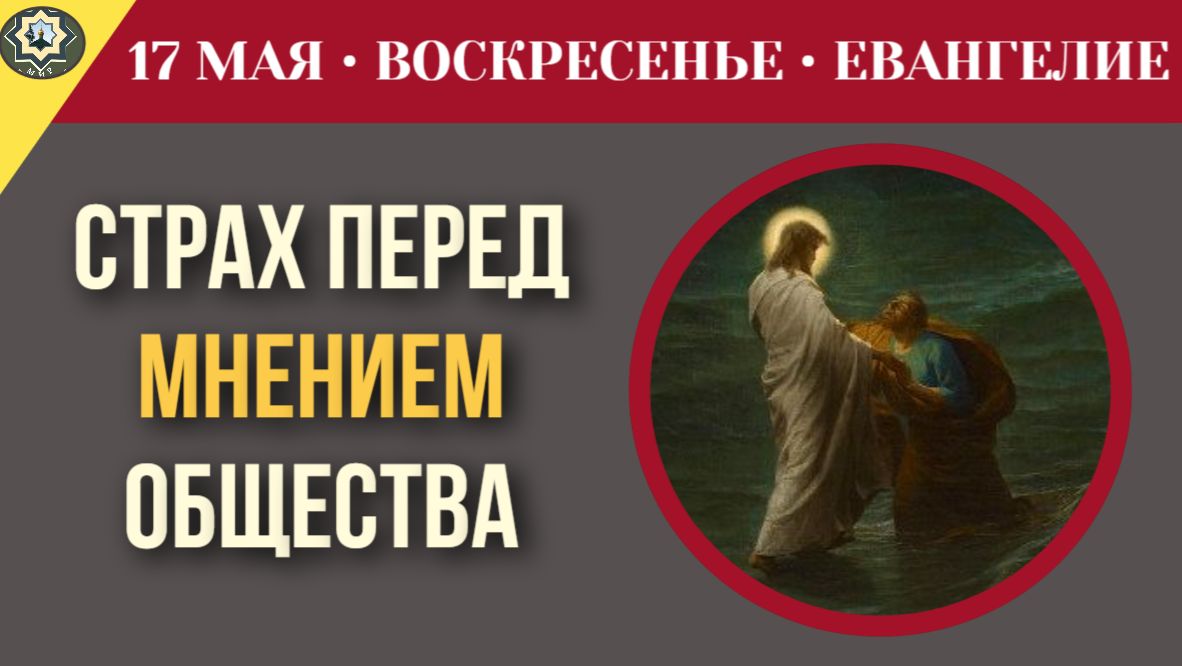 Почему страх перед чужим мнением заставляет людей предавать своих близких I 17 мая