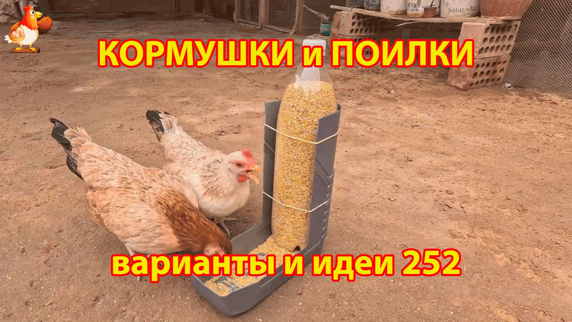 Кормушки и поилки для кур своими руками 252 🪚✂️ Пошаговая инструкция как сделать 🐔 🐓❣️