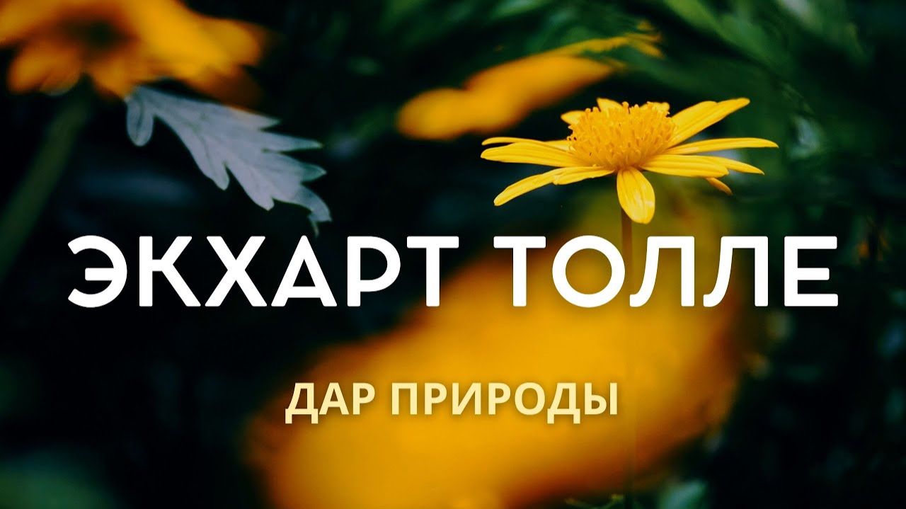 Дар природы - Экхарт Толле [NikOsho]