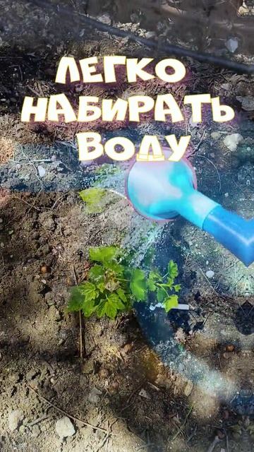 Лейка с ВБ, ждала зеленую, пришла синяя...