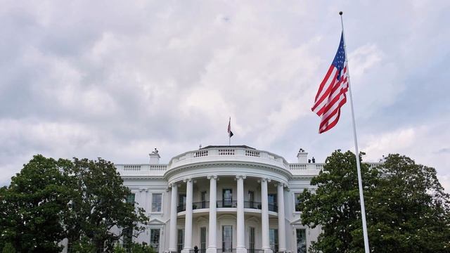 Пока Трамп возвращается в Вашингтон из Китая, Белый дом атаковали пчелы