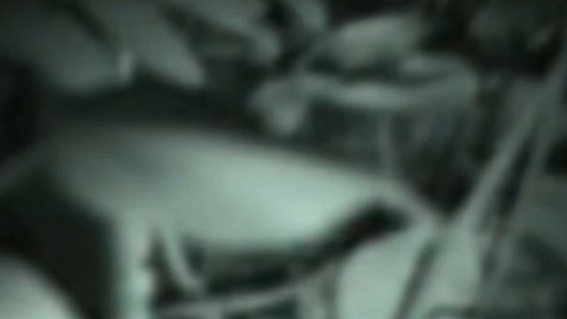 1000029628.mp4