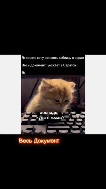 Мемы