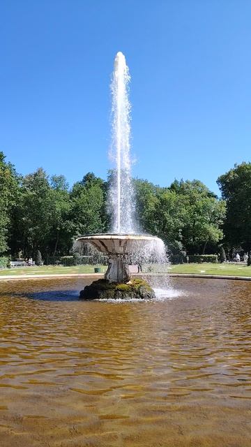 Петродворец. Французский фонтан