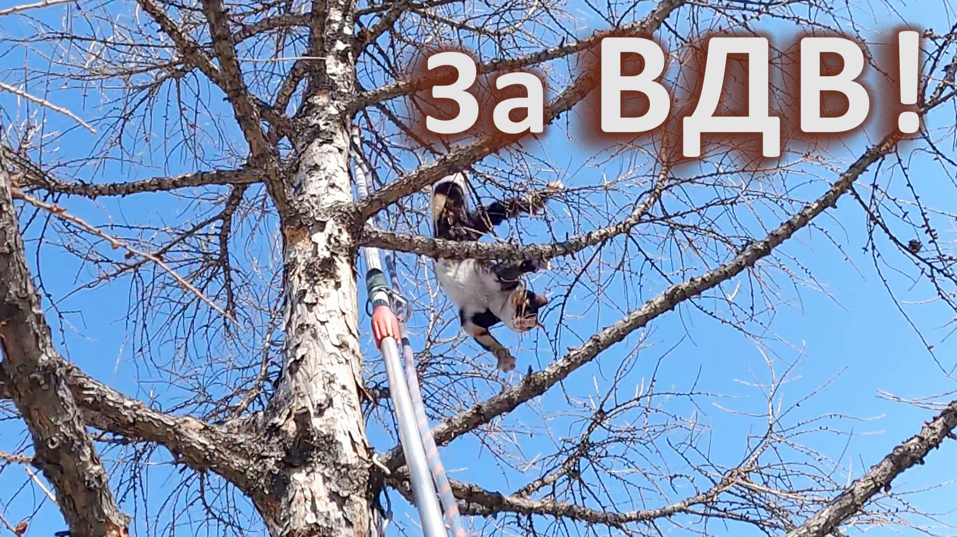 Парашютистка с Парашютки
